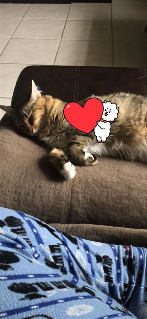 Fightpinknow Look How Cute Tinker Is Facebook