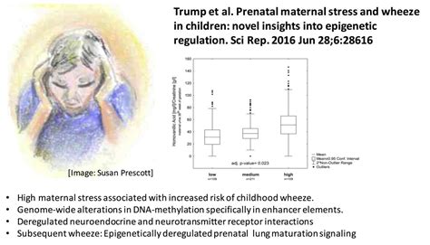Paul Noakes Paulsnoakes Twitter