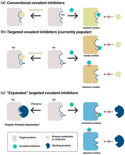 Extended Applications Of Small Molecule Covalent Inhibitors Toward