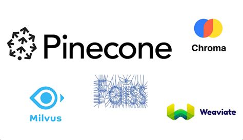 Vector Db Faiss Pinecone Chroma Weaviate Skillcurb