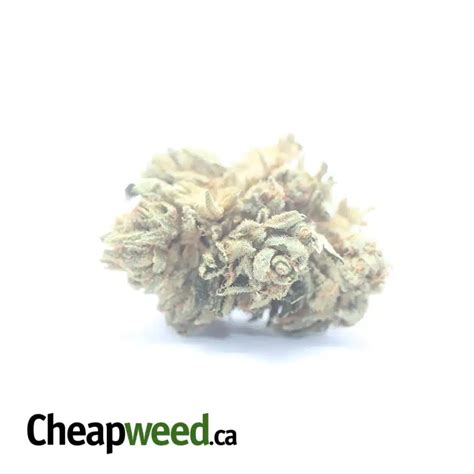 Buy Bulk 33 Oz Chemo Strain Cheap Weed Pounds And Reviews
