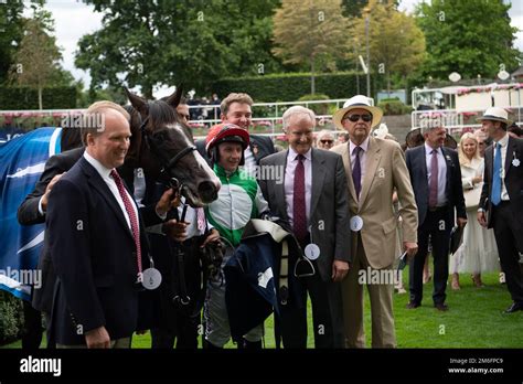 Ascot Berkshire Großbritannien 23 Juli 2022 Pferdepyledriver