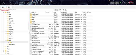 25年黑马redis基础篇在linux虚拟机中安装redis个人记录、详细图解黑马点评redis如何部署到linux上 Csdn博客