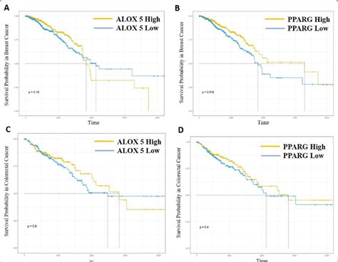 Tcga Survival Curves Using Kaplan Meier Analysis A B Represents The