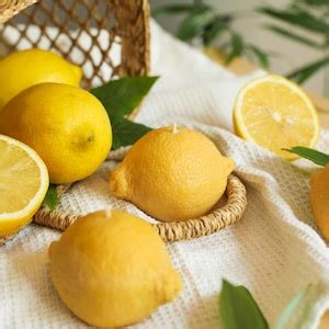 Lemon Shaped Candle Garden Party Candle Original Hostess T Food