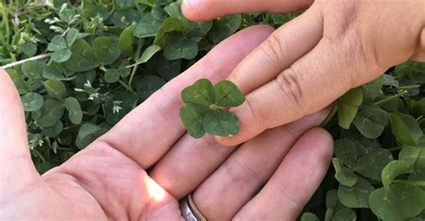 はっちママ｜note