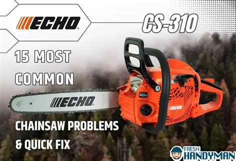 15 Most Common Echo Cs 310 Problems And Quick Fix