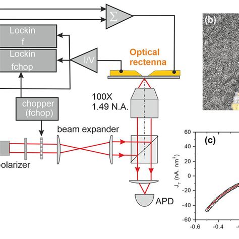 Electromigration And Characterization A Schematic Of The