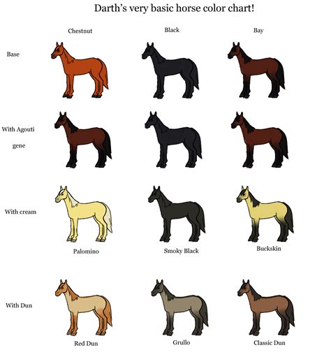 What Colors Do Horses Like At Alice Duran Blog