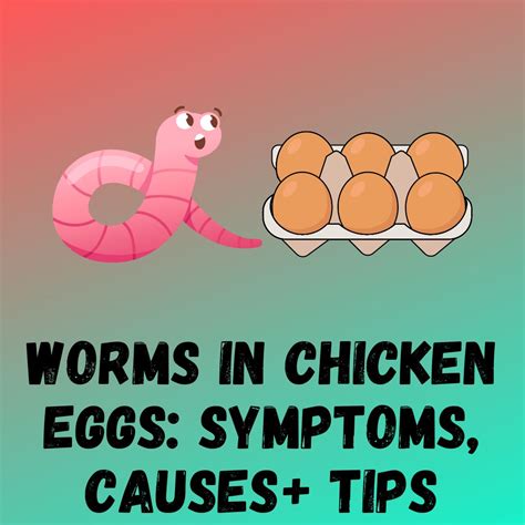 How To Treat Intestinal Worms In Chickens At Alfred Willeford Blog