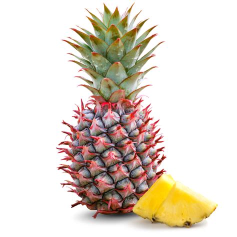 Florida Special Pineapple South Eden Nursery