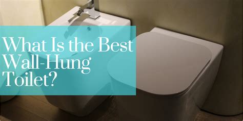 3 Best Wall Hung Toilets Mounted Off The Ground 2020 Review