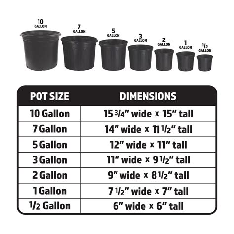 Container Sizes For Overseas Shipments To Philippines