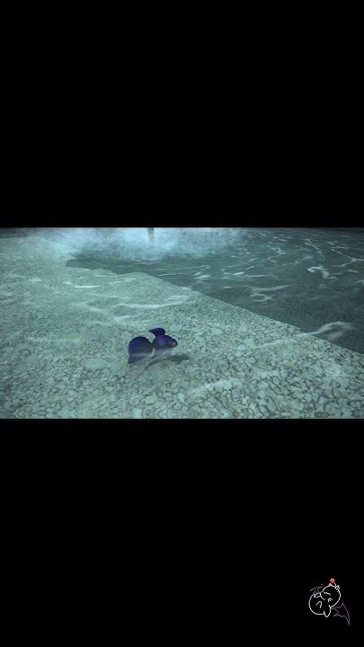 Assassin Fry Minion Totally Not Trying To Assassinate Me Ffxiv Youtube