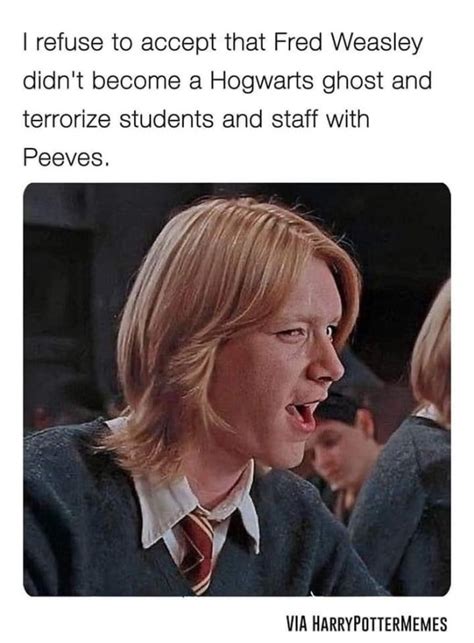 Harry Potter Memes On Tumblr
