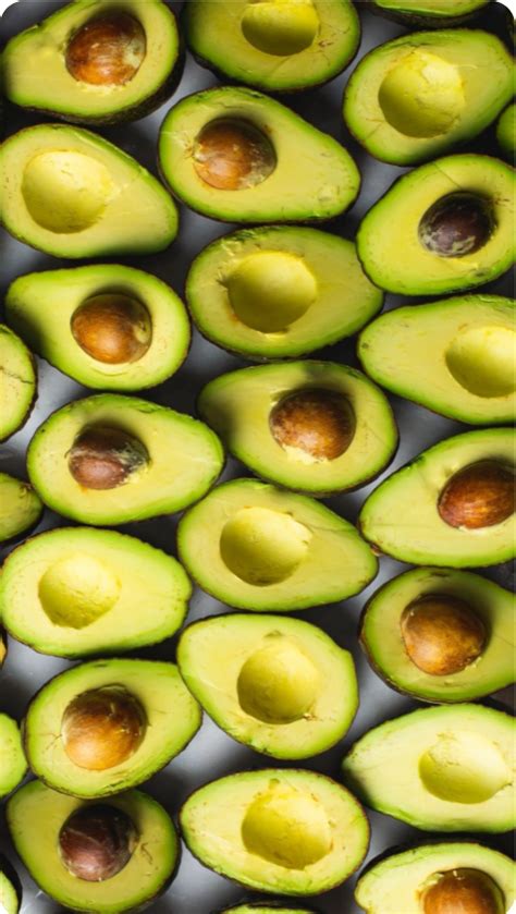 Power From The Ground Microbial Electrogenesis Explained