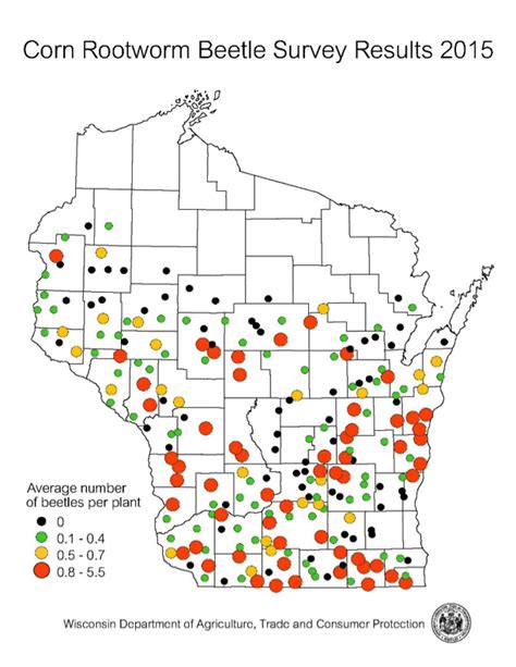 Controlling Rootworms Using Traits Plus Soil Applied Insecticides