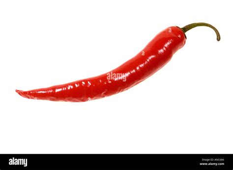 1 One Fresh Red Pepper Chilli Chilly Chile Chili Food Single Schote