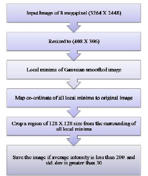 Steps Of Preprocessing Stage Download Scientific Diagram