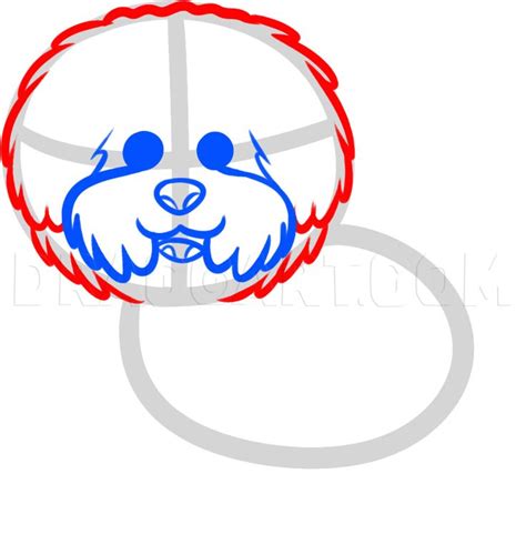 How To Draw A Bichon Frise Step By Step Drawing Guide By Dawn
