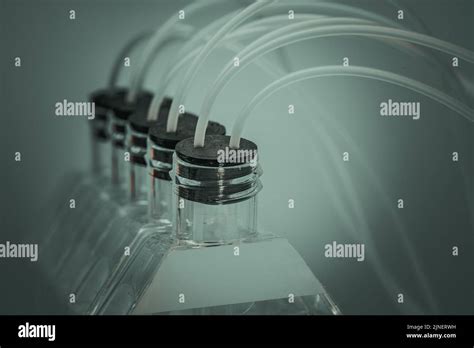 Experience With Bacteria To Obtain Enzymes Cell Culture Flasks With