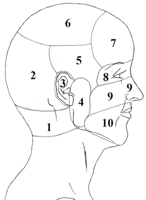 Cervical Spine Exercise Protocols