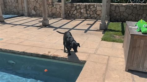 Prince Harry And Meghan Markles Never Ending Garden At 30 Million