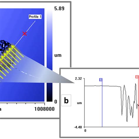 A The Interference Pattern From The Region Of Interest With One Test