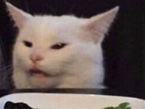 Create Meme Kitty Cat Pictures Meme