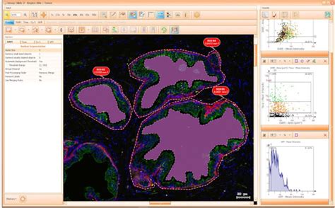 Image Analysis Workstations Microscopy Swanson Biotechnology Center