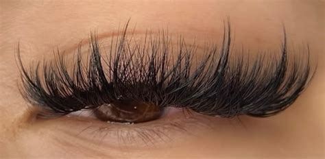Whispy Look Lashes Fake Eyelashes Whispy Lashes Pretty Lashes