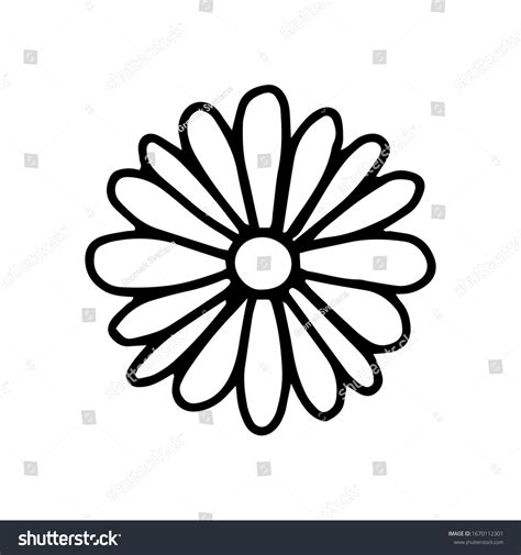 Daisy Flower Outline Black And White