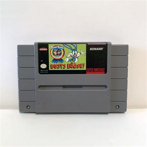 Tiny Toon Adventures Buster Busts Loose — Gametrog