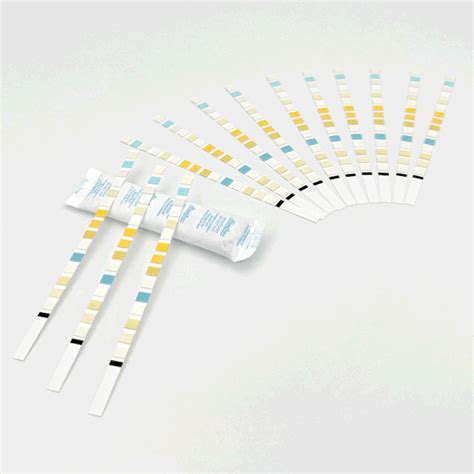 Strip Format Urine Analysis Test Equipment Urine Analysis Test And