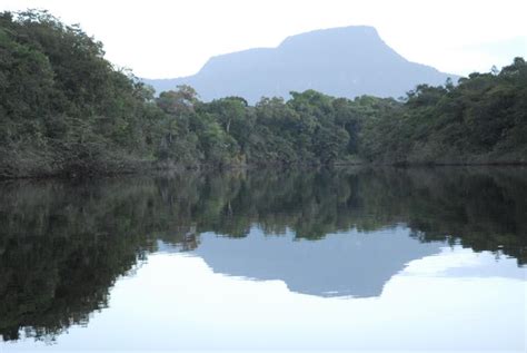 原创现代诗：思念missing 知乎