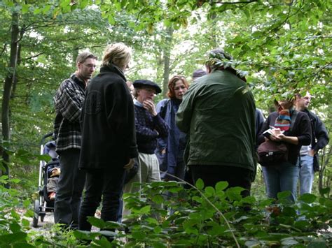 Augustus 2004 Op De Koeheide In Bertem