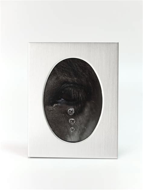 晨昏交界处的梦呓王子的马