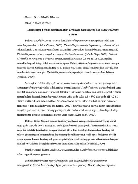 Dinda Khalila Khansa Maulana 2210631270026 Identifikasi