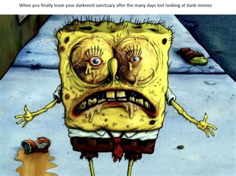 Spongebob Gross Up Know Your Meme