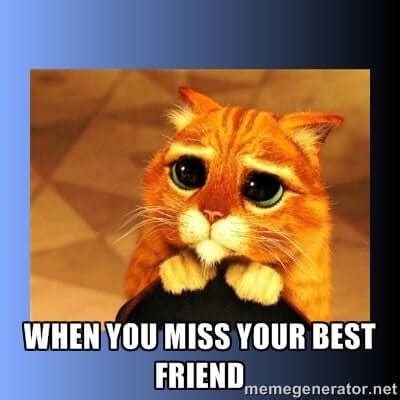 Miss You Friend Meme Fairygodboss