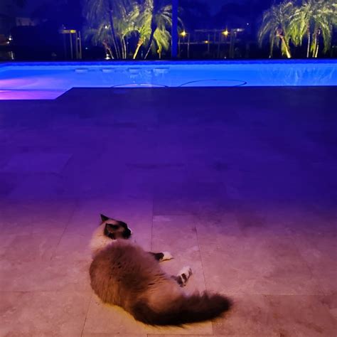 Amy Eidenschink Youtube