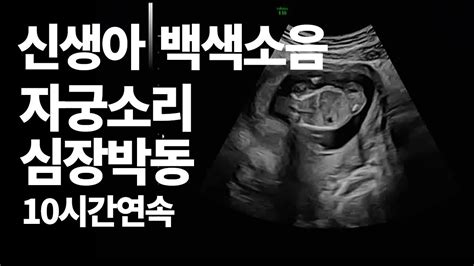 신생아 백색소음 자장가 엄마 자궁 뱃속소리 재현 심장박동 백색소음 10시간 연속듣기 Womb Sound