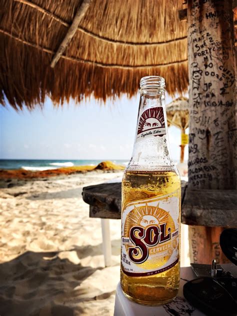 Image Posted On Nov 6 2024 Whiskey Sex And Lies On Tumblr