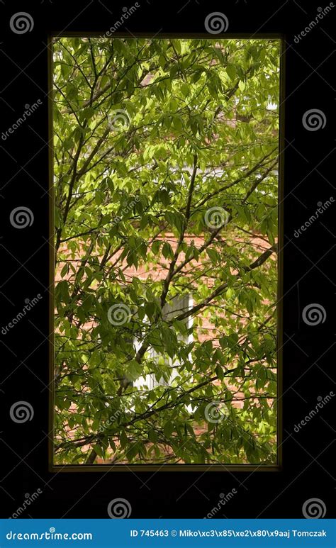 Spring Window Stock Image Image Of Poland House Spring 745463