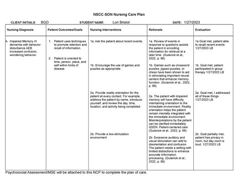 Mh Care Plan Week 1 Mental Health Clinical Nscc Son Nursing Care
