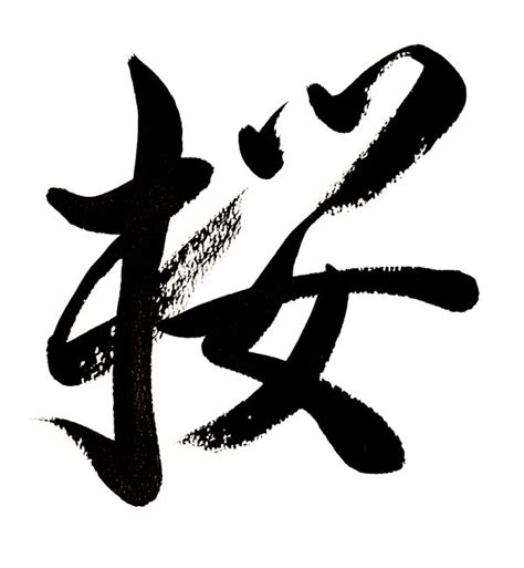 🌸 桜 Sakura “cherry Blossoms” 🌸 Calligraphy By Vicky