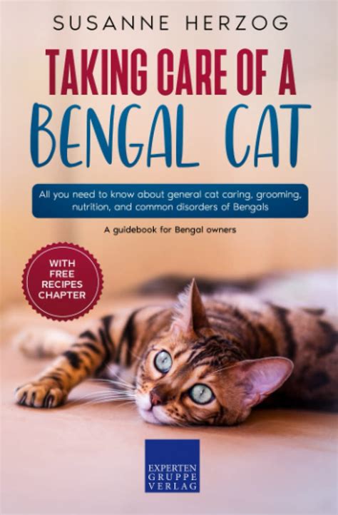 Taking Care Of A Bengal Cat All You Need To Know About General Cat
