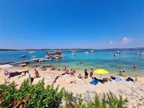 Private Sunset Dolphin Excursion With Sandra Boat