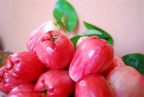A Very Beautiful Fruit Usually Deep Red In Color Pear Shaped With A
