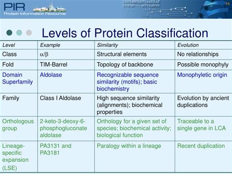 Protein Function Classification At Denise Reyes Blog